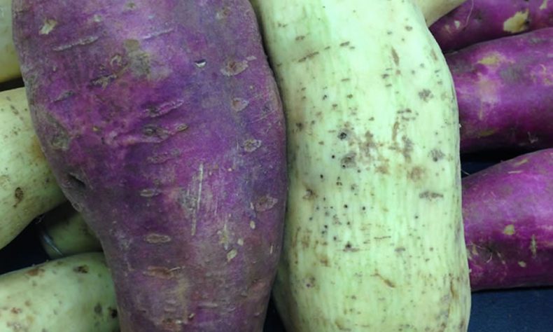 Batata Doce Branca ou Batata Doce Roxa: Qual é Melhor?